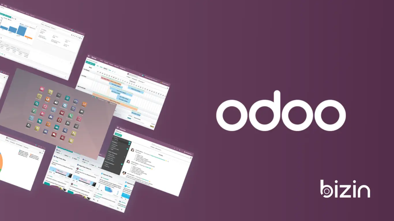 Personalización de Informes contables en Odoo | Business Insights